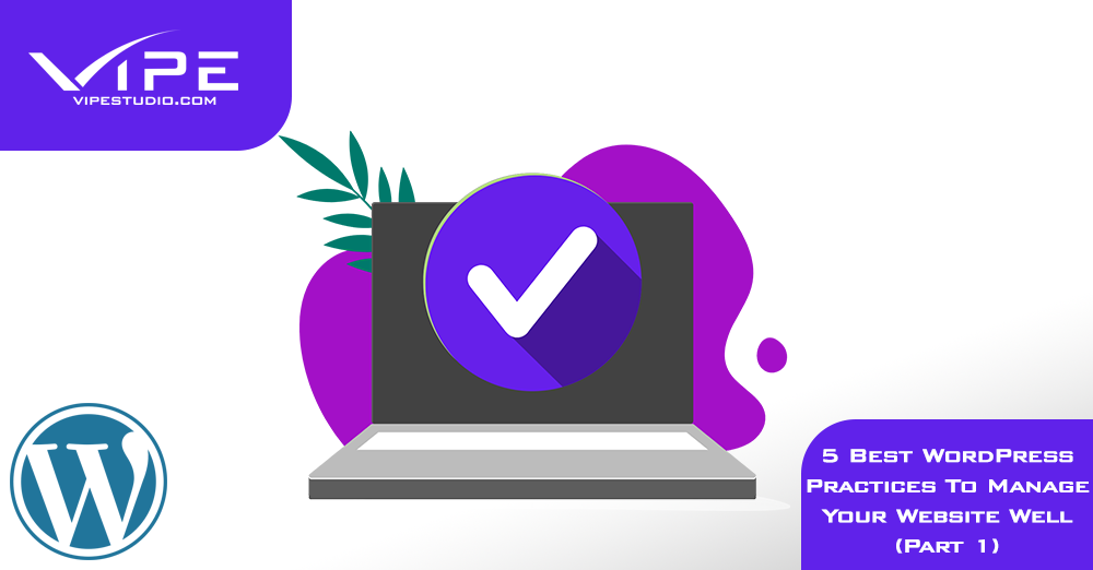 WordPress Practices To Manage Your Website | Vipe Studio