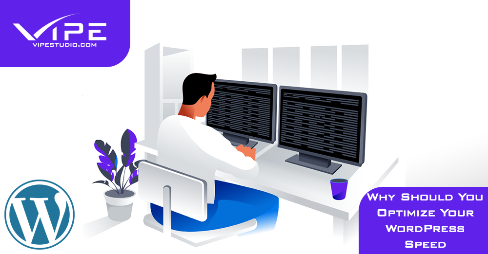 Choose Our WordPress Development Agency | Vipe Studio