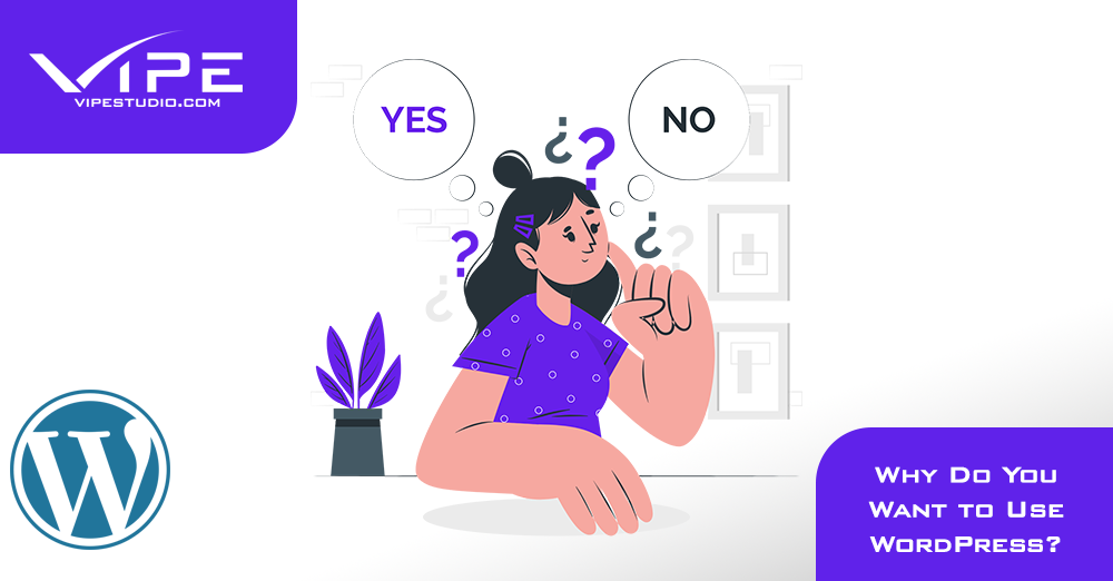 WordPress Development Agency for Your Website | Vipe Studio