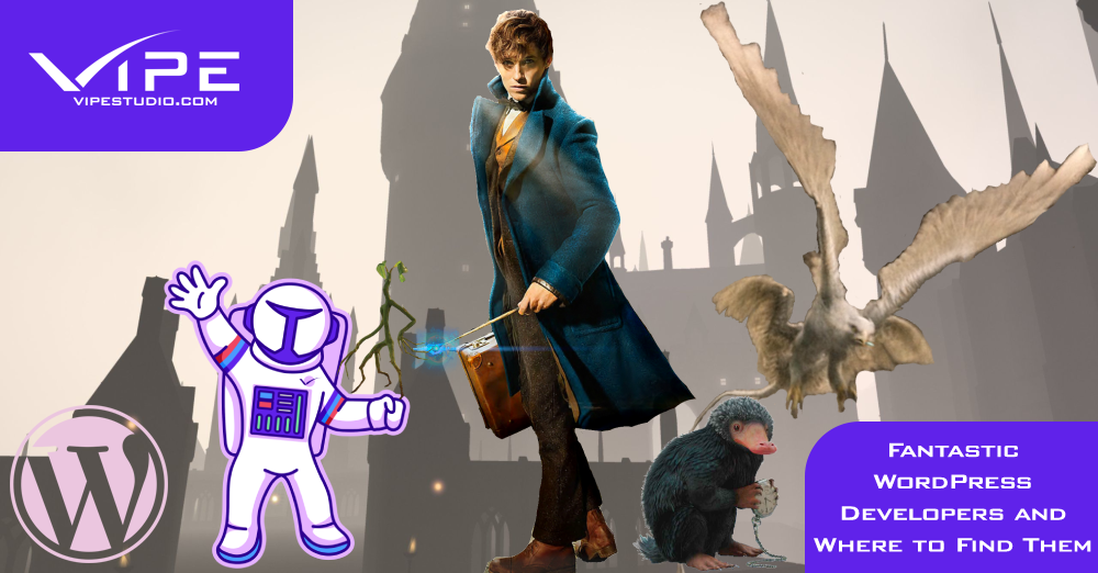 WordPress Developers and Where to Find Them | Vipe Studio