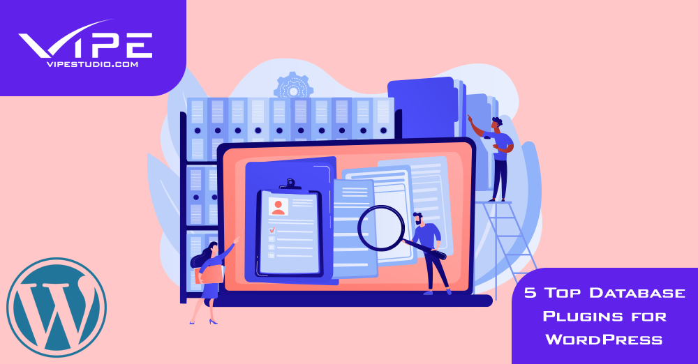 5 Top Database Plugins for WordPress | Vipe Studio
