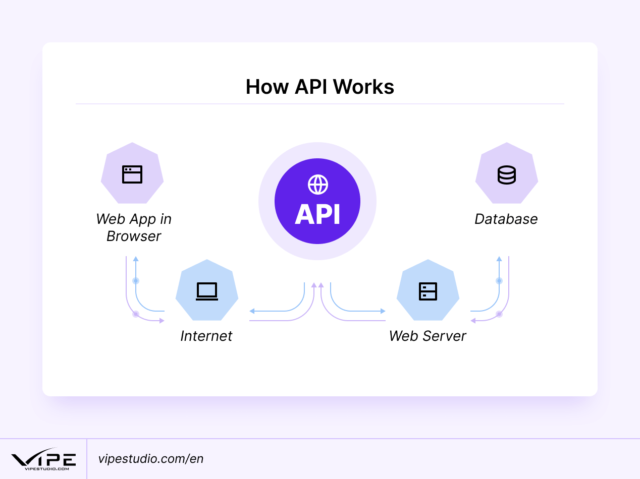 API-First Approach to WordPress Development | Vipe Studio