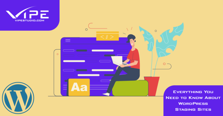 WordPress Staging Sites Explained | Vipe Studio