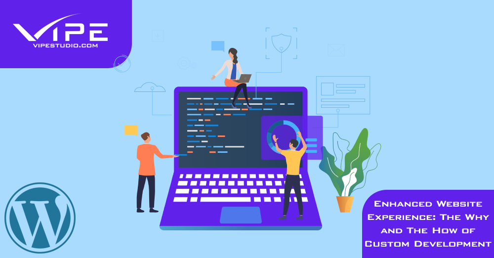 Enterprise Custom Development | Vipe Studio